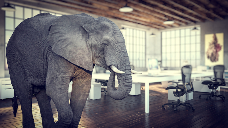 Addressing the Business Elephants: Creating a Culture of Excellence ...